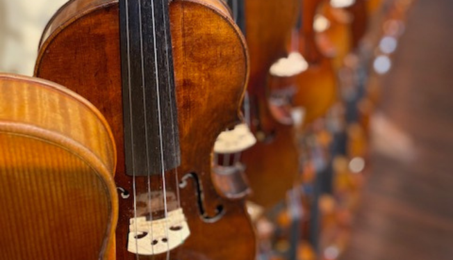 The Importance of Proper Violin Sizing for Every Player – violinshoptampa