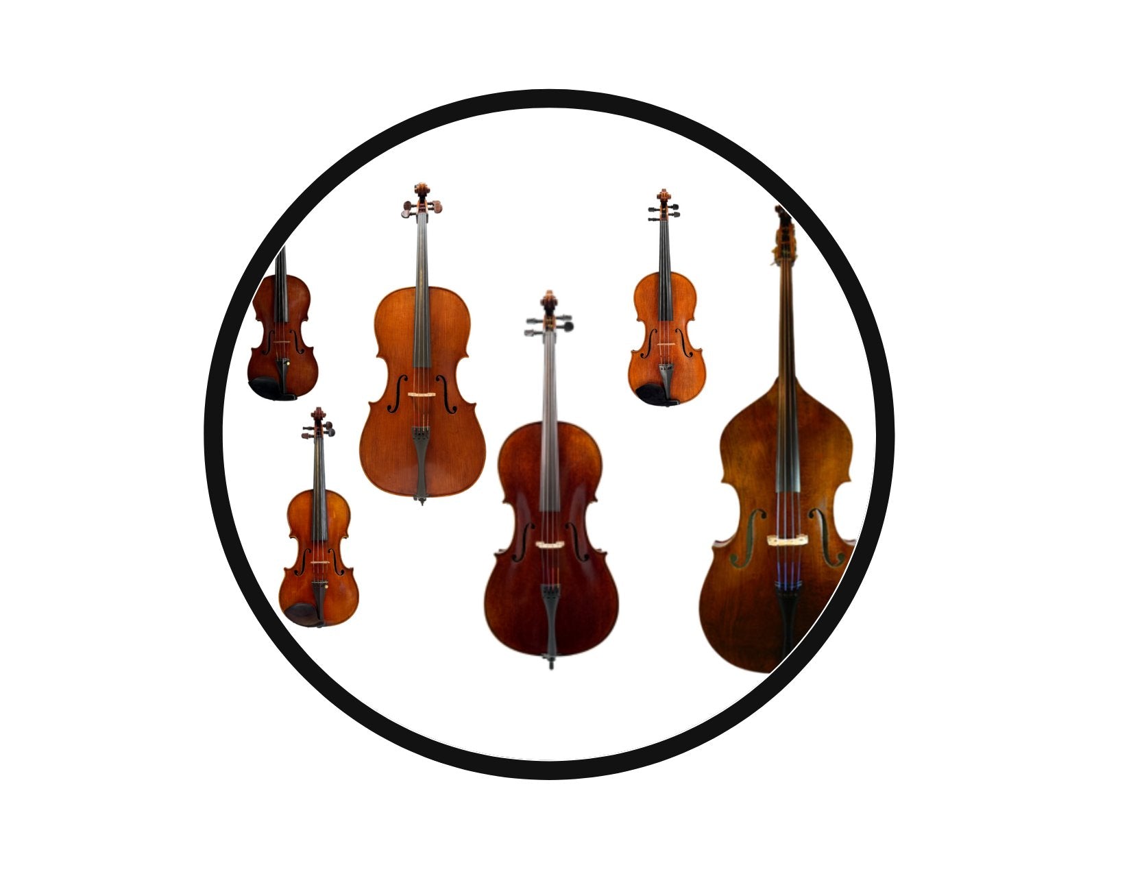 String Instruments | Violin Cello Viola Double Bass – violinshoptampa